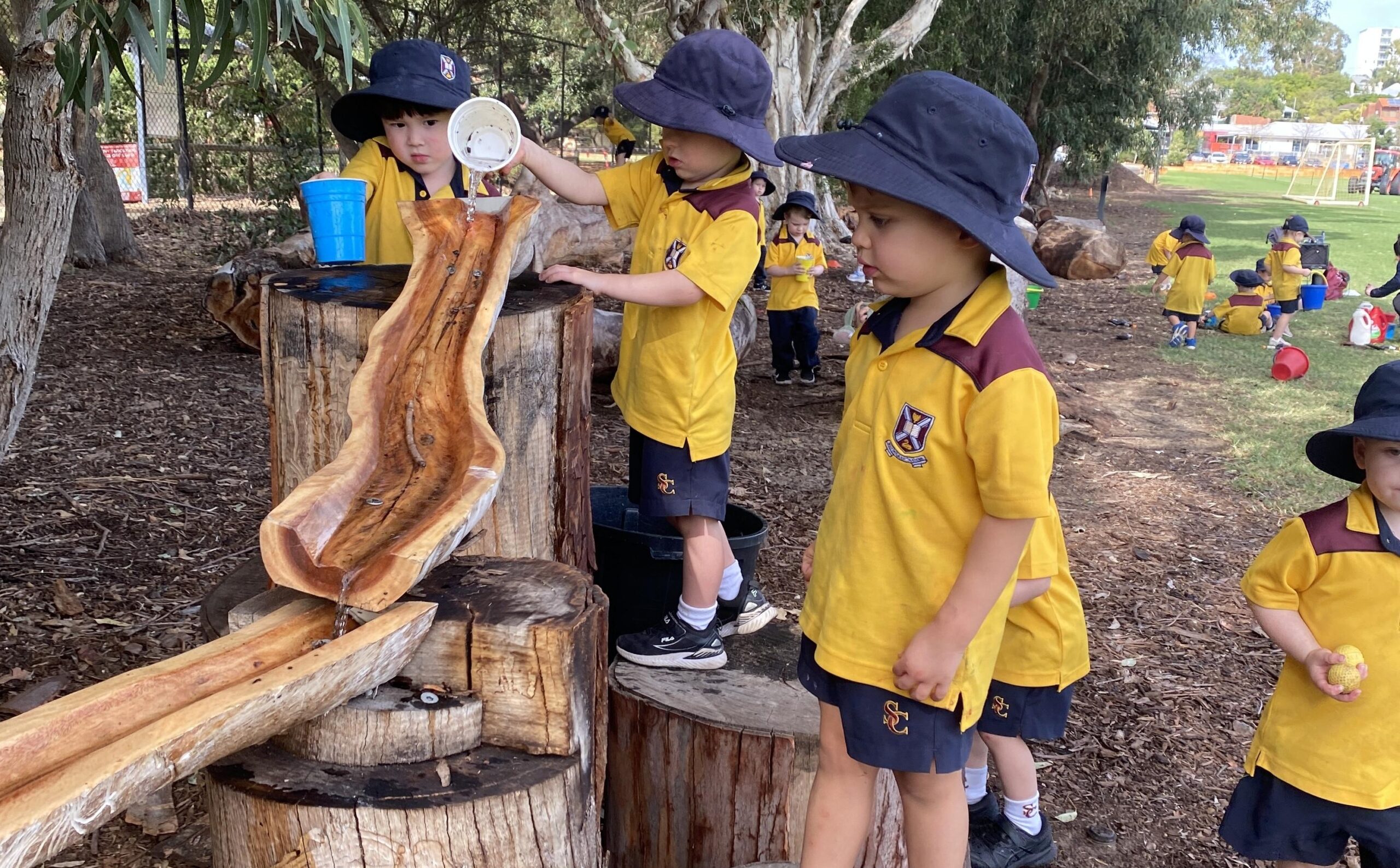 Holistic development through Bush School - Scotch College